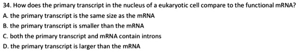 SOLVED: 34.How does the primary transcript the nucleus of = eukaryotic ...