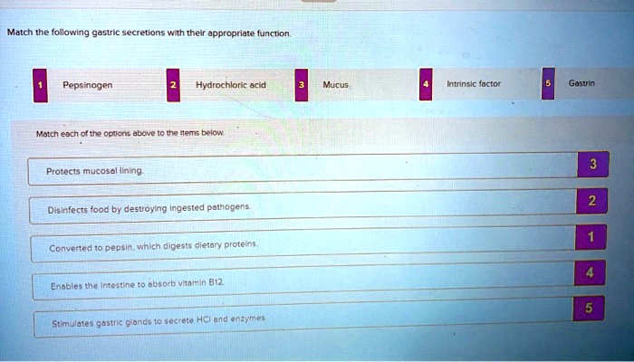 Match the following gastric secretions with their appropriate function. 1 Pepsinogen 2 ...