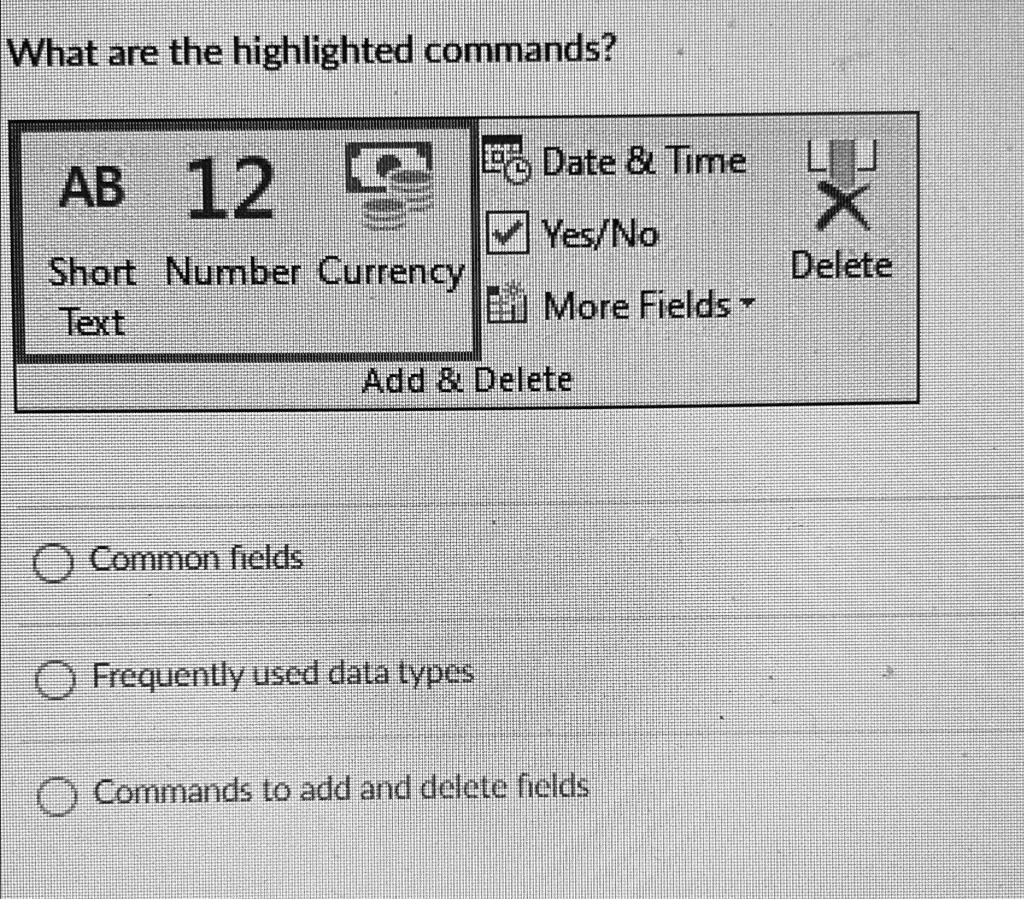 SOLVED: What are the highlighted commands? Common fields Frequently ...
