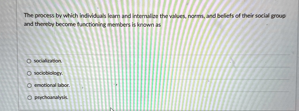 the process by which individuals learn and internalize the values norms and beliefs of their ...