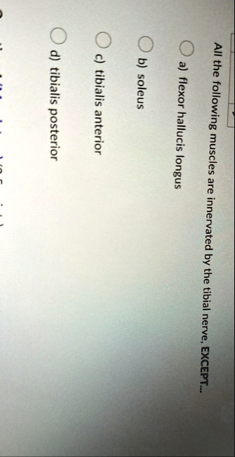 all the following muscles are innervated by the tibial nerve except a ...