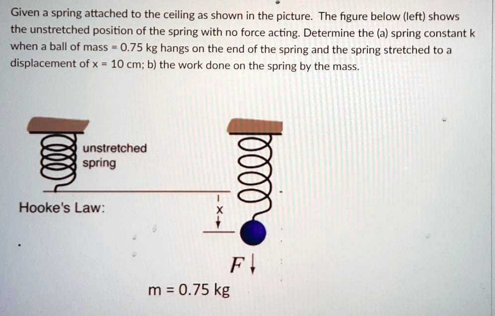 SOLVED: Given a spring attached to the ceiling as shown in the picture ...