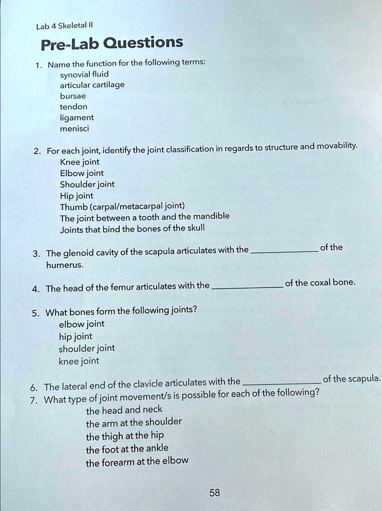 SOLVED: Lab 4 Skeletal II Pre-Lab Questions 1. Name the function for ...