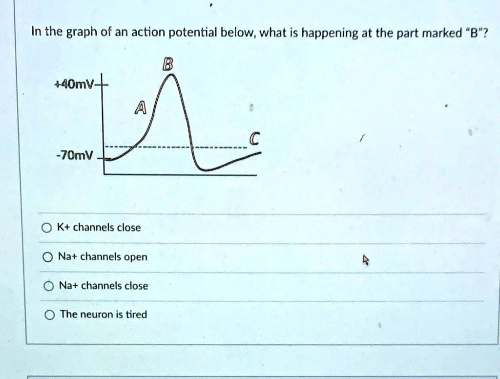 in the graph of an action potential below what is happening at the part ...