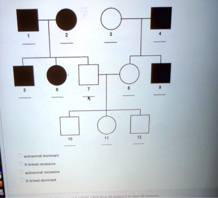 Solved Autosomal Dominant X Linked Recessive Autosomal Recessive X 5116