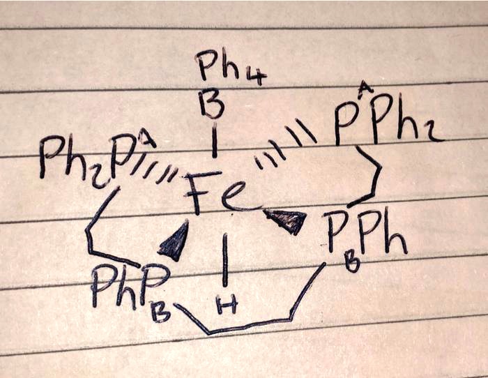 SOLVED: Draw a tree diagram illustrating the complex high-field ...