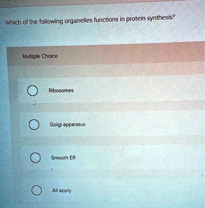 SOLVED: Which of the following organelles functions in protein ...