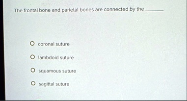 the frontal bone and parietal bones are connected by the coronal suture ...
