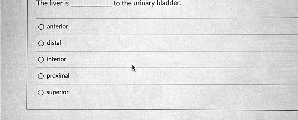 SOLVED: The liver is to the urinary bladder. anterior distal inferior ...