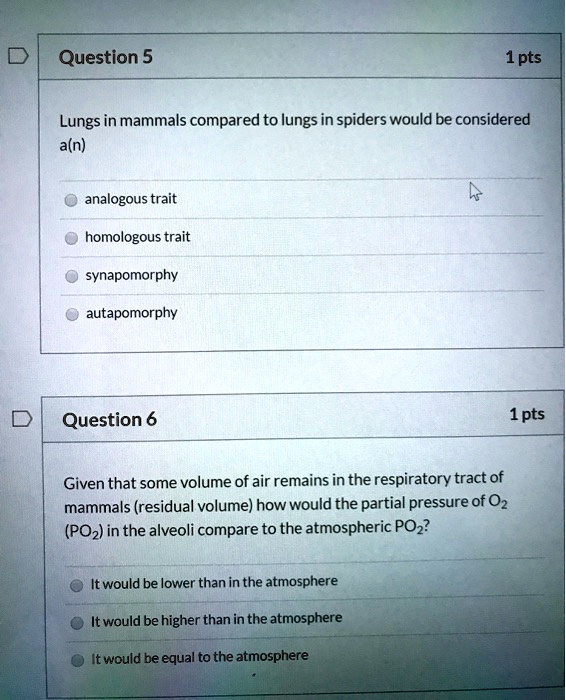 SOLVED: Question 5 1pts Lungs in mammals compared to lungs in spiders ... SOLVED: Question 5 1pts Lungs in mammals compared to lungs in spiders ...