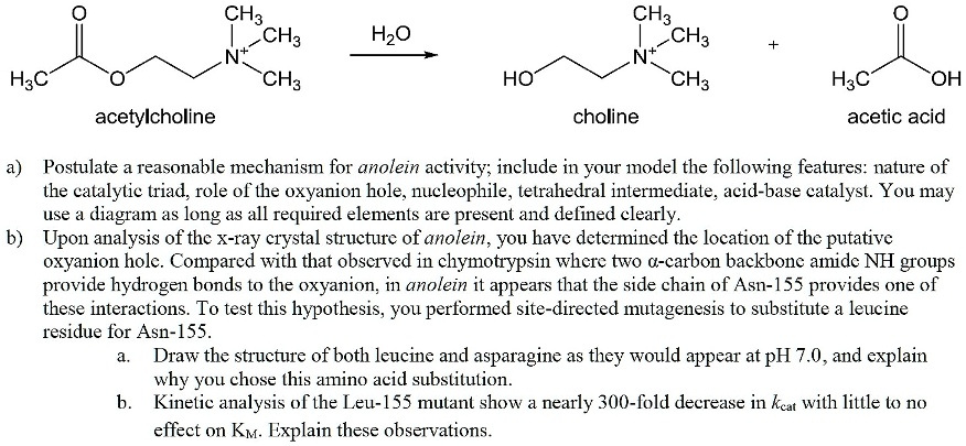 SOLVED: CH3 CHg CH3 choline Hz Hz HO H2C OH acetic acid acetylcholine ...