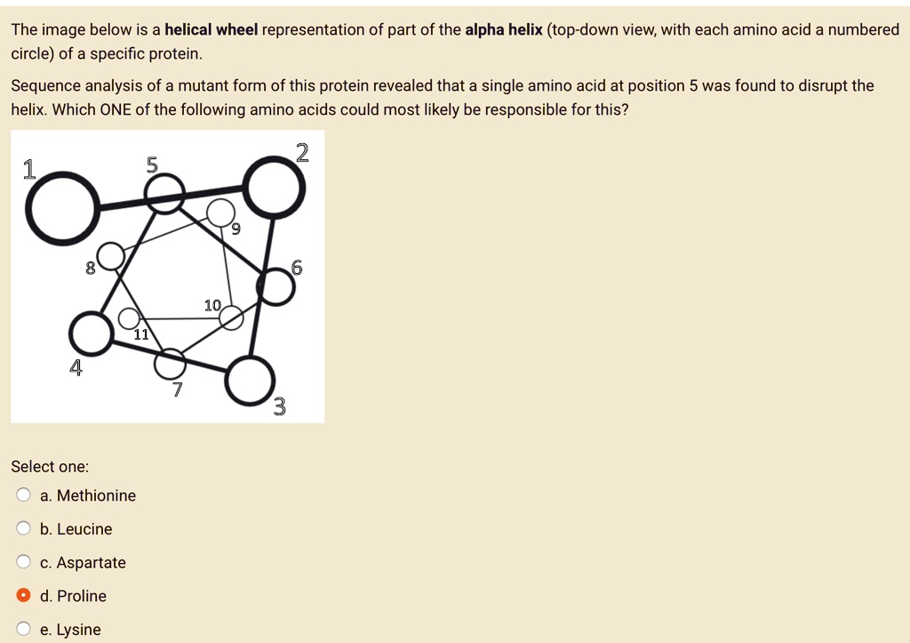 The image below is a helical wheel representation of part of the alpha ...