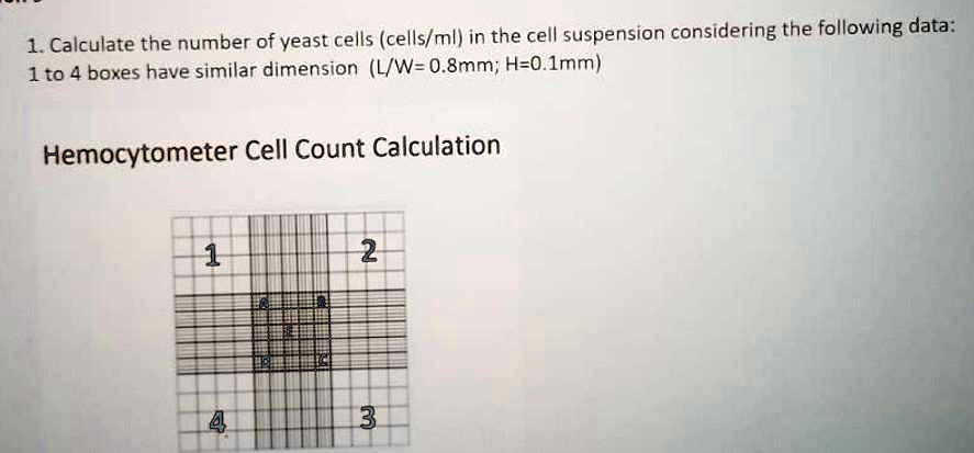 1. Calculate the number of yeast cells (cells/ml) in the cell ...