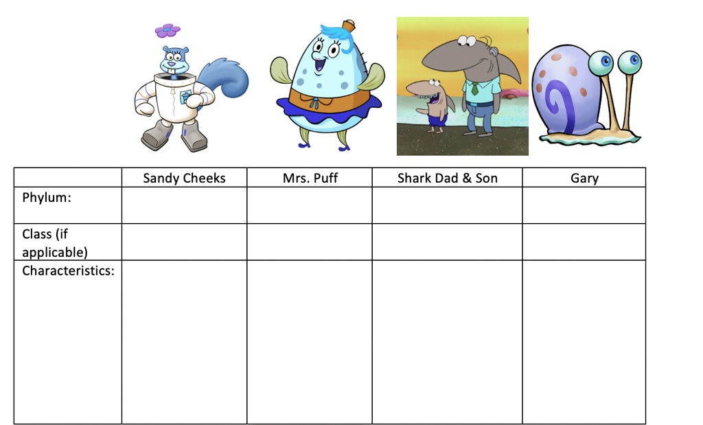SOLVED: Sandy Cheeks Mrs. Puff Shark Dad Son Gary Phylum: Class (if ...