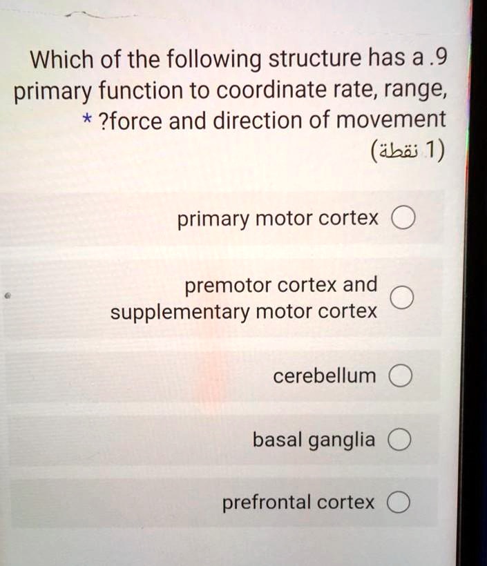 Which of the following structure has a .9 primary function to ...