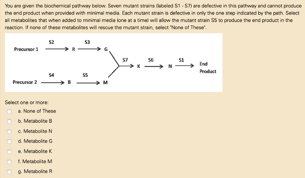 SOLVED: You are given the biochemical pathway below: Seven mutant ...