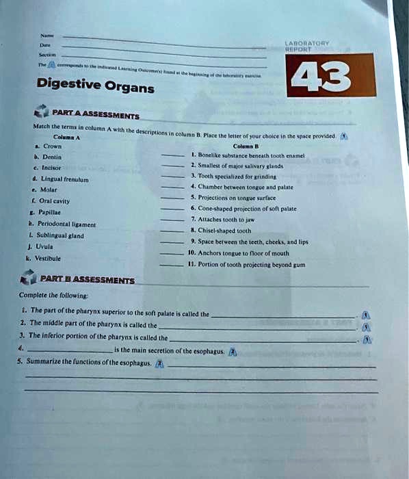 Name Date Section The corresponds to the indicated Learning Outcome(s ...