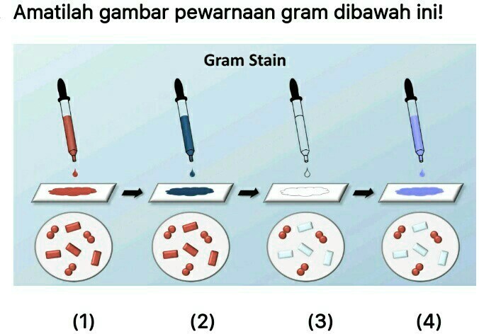 SOLVED: a) Pada gambar diatas, cairan atau larutan yang digunakan pada ...