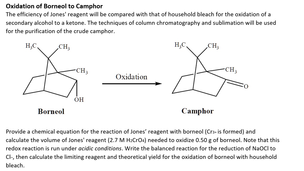 oxidation of borneol to camphor the efficiency of jones reagent will be ...