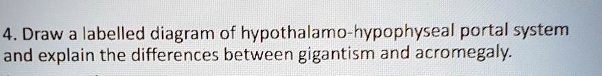 SOLVED: 4. Draw a labeled diagram of hypothalamo-hypophyseal portal ... SOLVED: 4. Draw a labeled diagram of hypothalamo-hypophyseal portal ...
