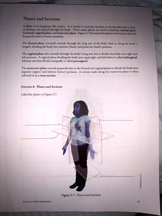 [GET ANSWER] Planes and Sections A plane is an imaginary flar sufface ...