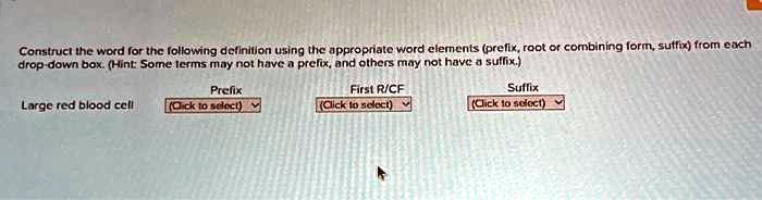 construct the word for the following definition using the appropriate word elements prefix root ...