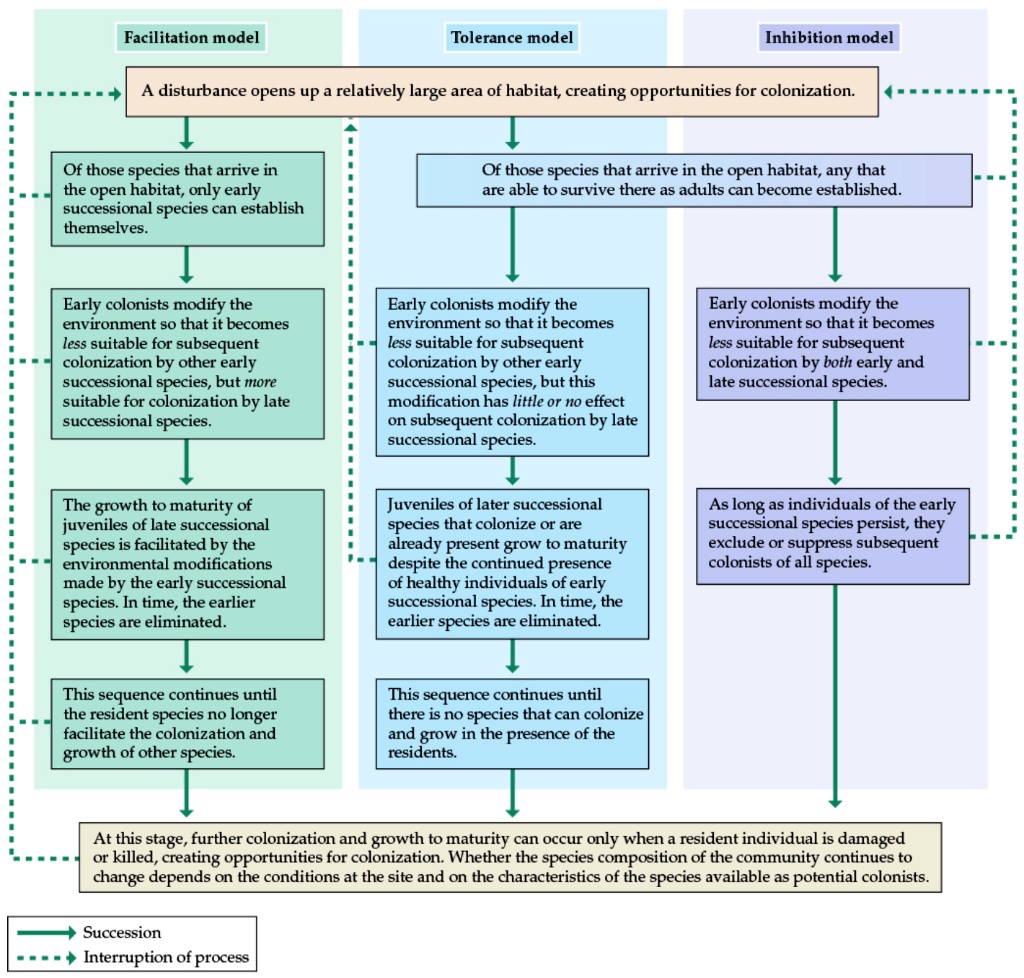 facilitation model tolerance model inhibition model disturbance opens ...