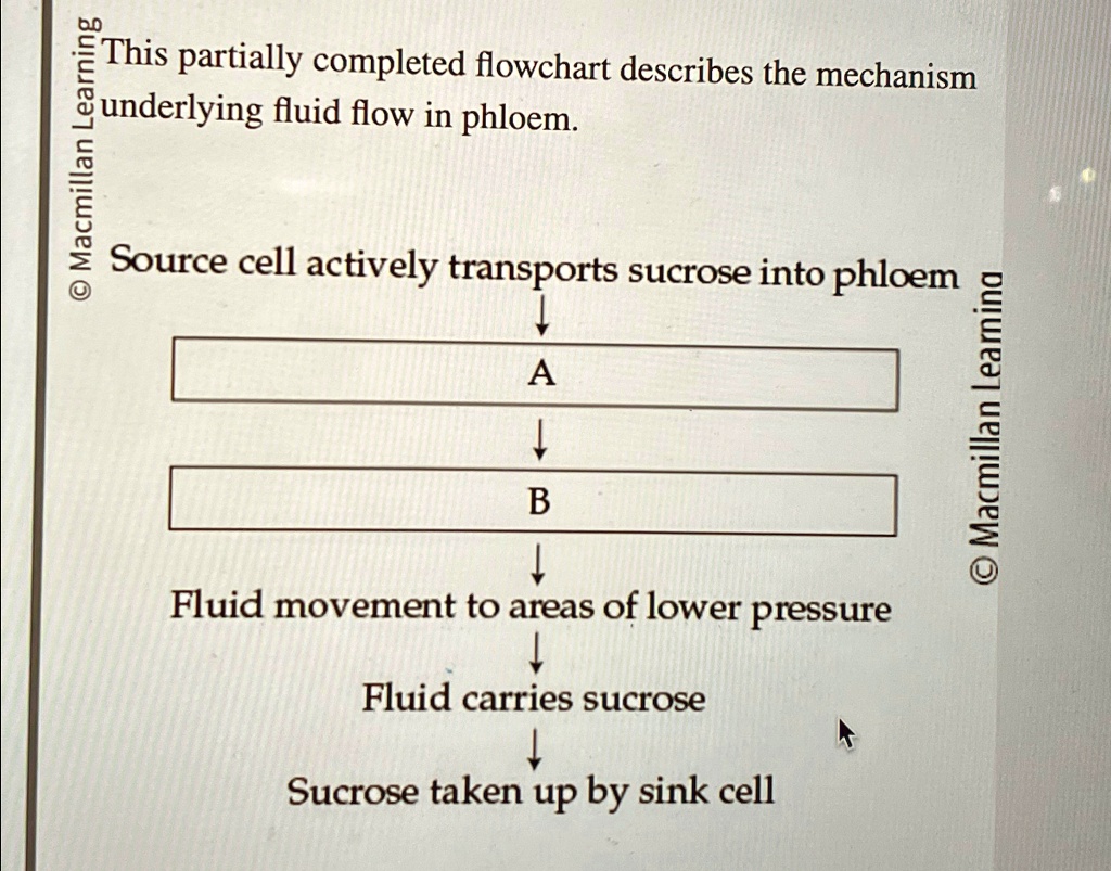 This partially completed flowchart describes the mechanism underlying ...