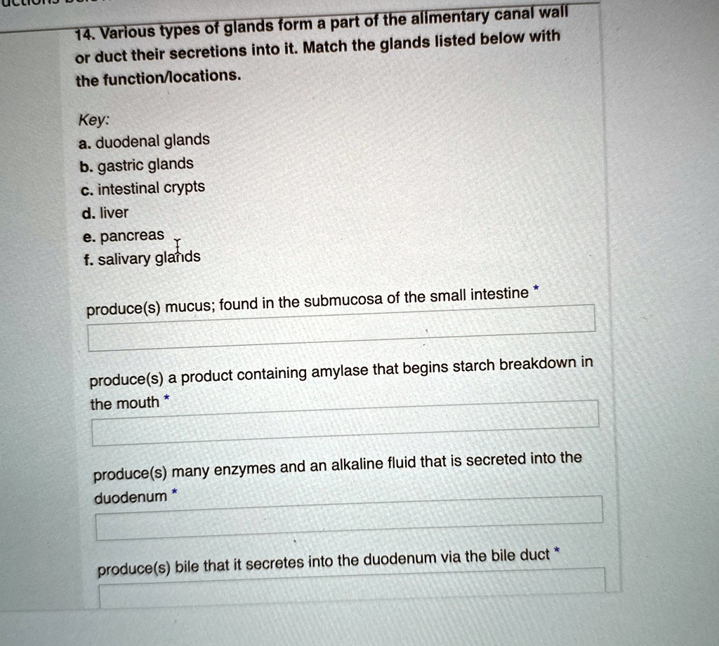 14 various types of glands form a part of the alimentary canal wall or ...