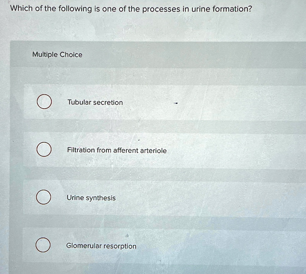 which of the following is one of the processes in urine formation ...