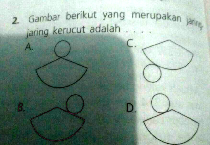 SOLVED: gambar berikut yang merupakan jaring jaring kerucug adalah ... SOLVED: gambar berikut yang merupakan jaring jaring kerucug adalah ...
