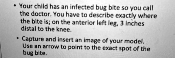 Your child has an infected bug bite so you call the doctor. You have to ...