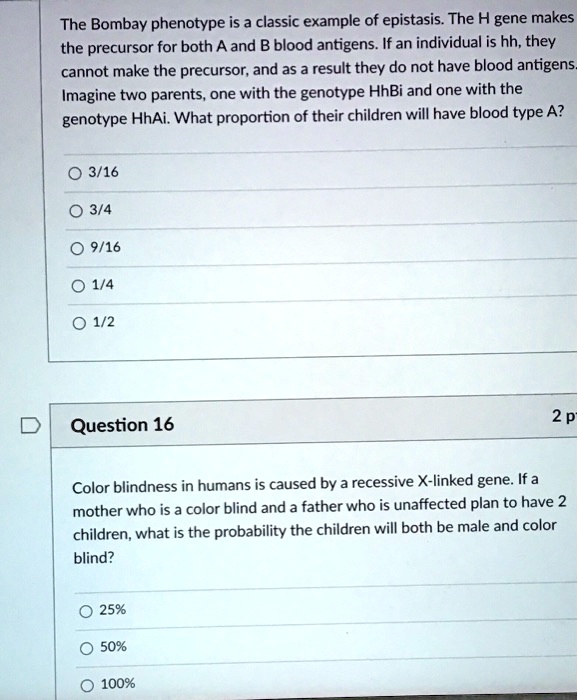 the bombay phenotype is a classic example of epistasis the h gene makes ...