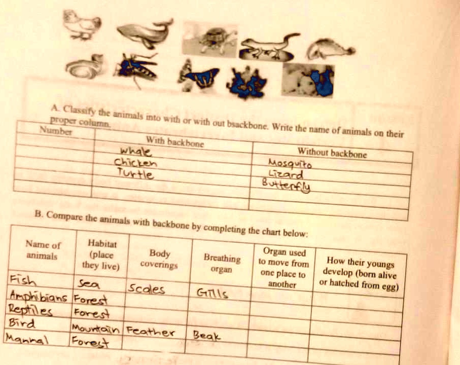 A. Classify the animals into with or with out bsackbone. Write the name ...