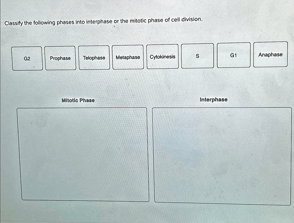 Classify the following phases into interphase or the mitotic phase of cell division. G2 Prophase ...