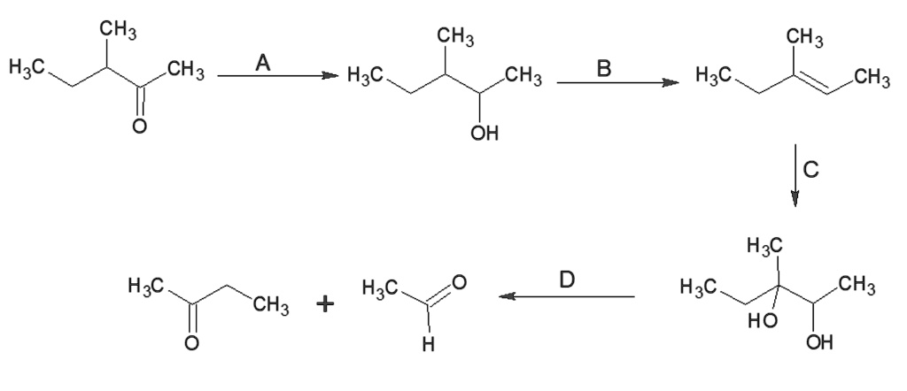SOLVED:CH3 CH3 H3C_ CH3 CH3 A H3C CH3 B H3C CH3 OH H3C H3C_ CH3 HO OH ...