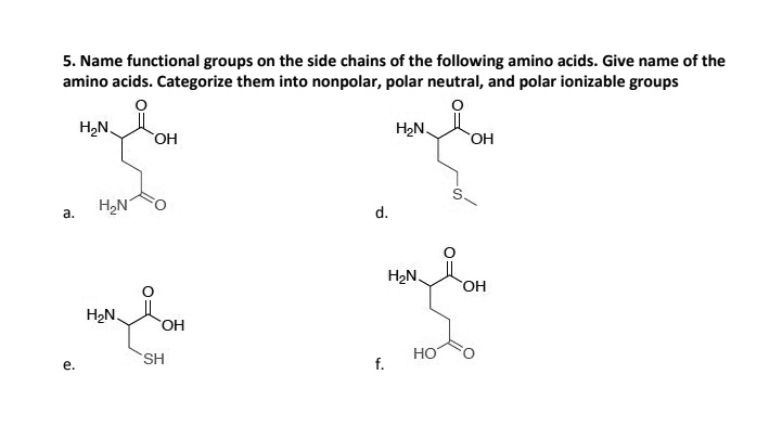 SOLVED: 5. Name functional groups on the side chains of the following ...