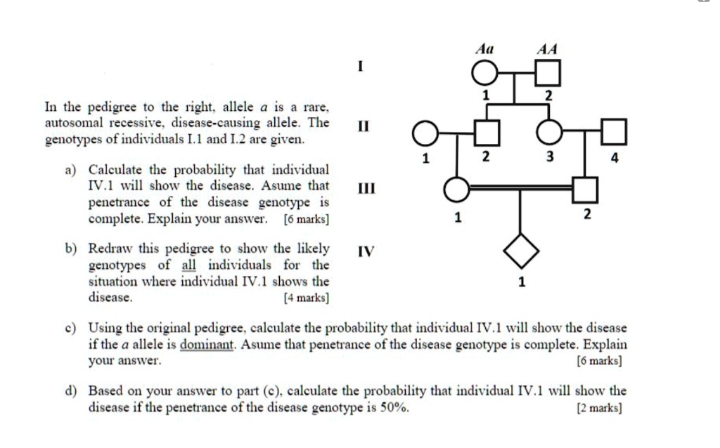 in the pedigree to the right allele a is rare autosomal recessive ...