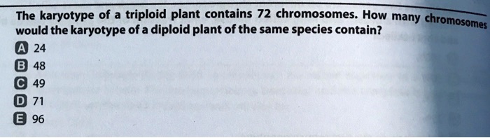 SOLVED: The karyotype of a triploid plant contains 72 chromosomes: How ...