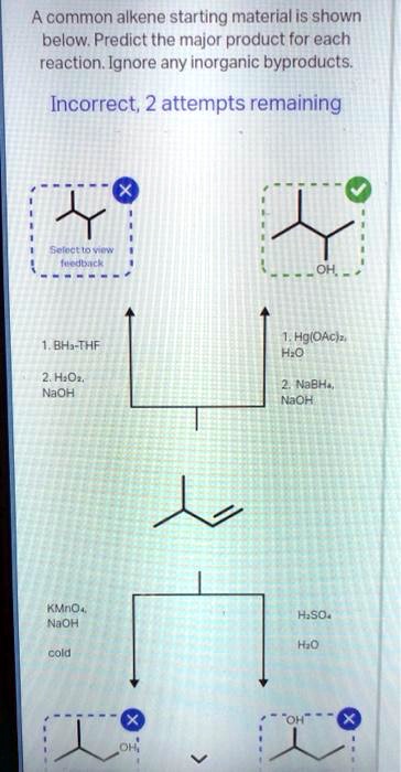 A common alkene starting material is shown below. Predict the major ...