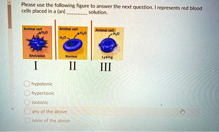 SOLVED: Please use the following figure to answer the next question. It ...