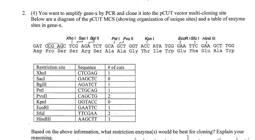 SOLVED: (4) You want to amplify gene-x by PCR and clone it into the ...