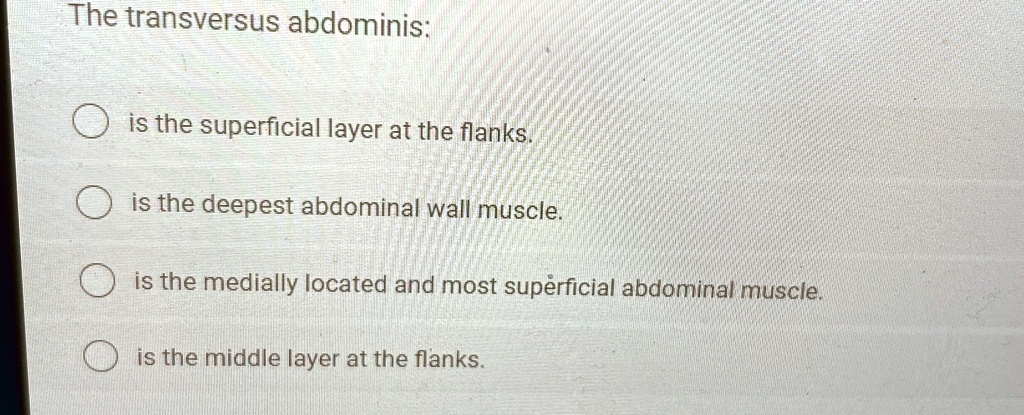 the transversus abdominis is the superficial layer at the flanks is the ...
