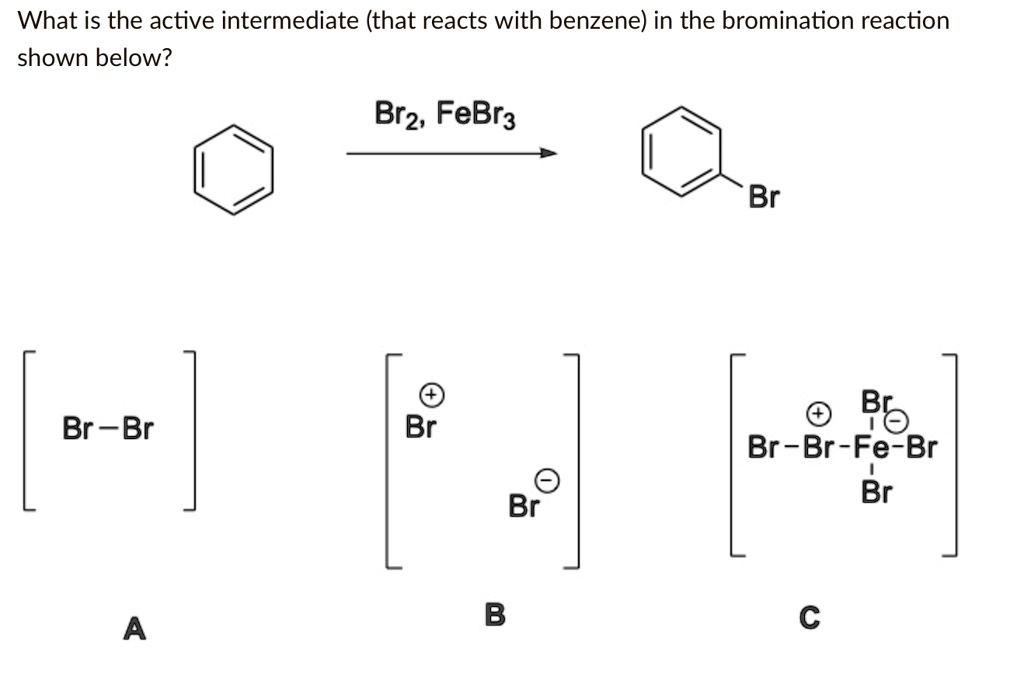 What is the active intermediate (that reacts with benzene) in the ...