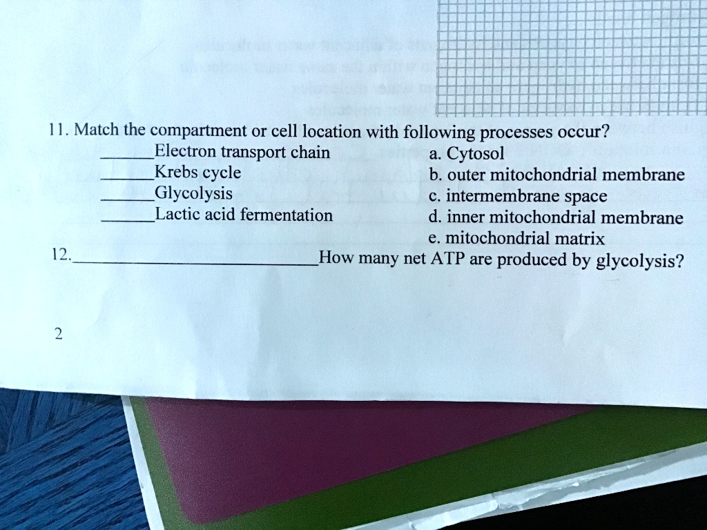 SOLVED: 1. Match the compartment or cell location with following ...