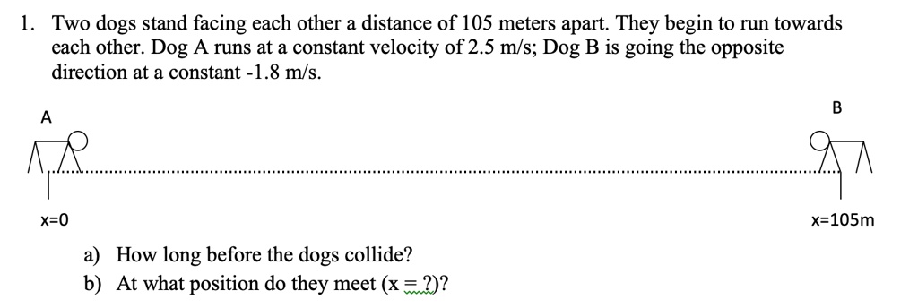 Two dogs stand facing each other a distance of 105 meters apart. They ...