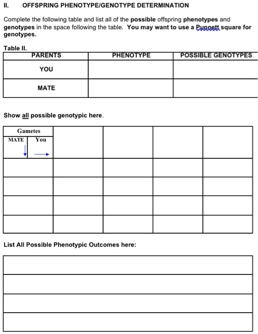 SOLVED: OFFSPRING PHENOTYPE/GENOTYPE DETERMINATION Complete the ...
