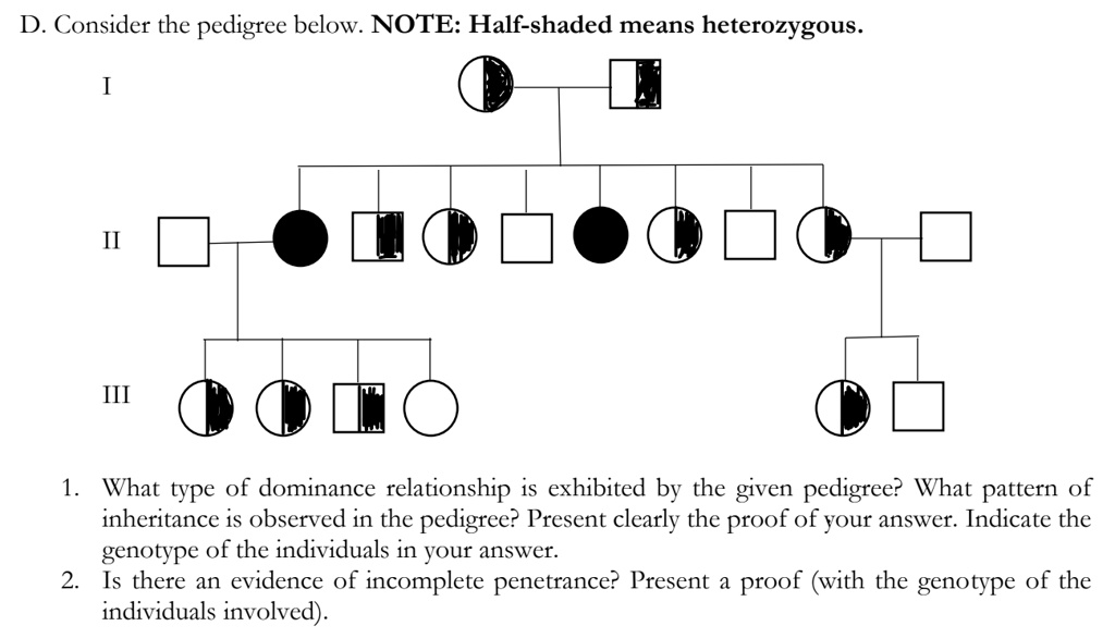 d consider the pedigree below note half shaded means heterozygous 0 ...
