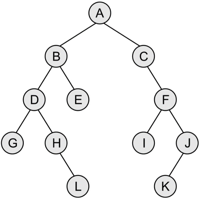 Solved Write A C Program To Read A Binary Tree From The User And 1628