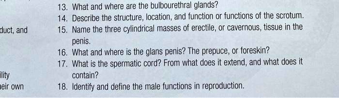 duct, and ility eir own 13. What and where are the bulbourethral glands ...
